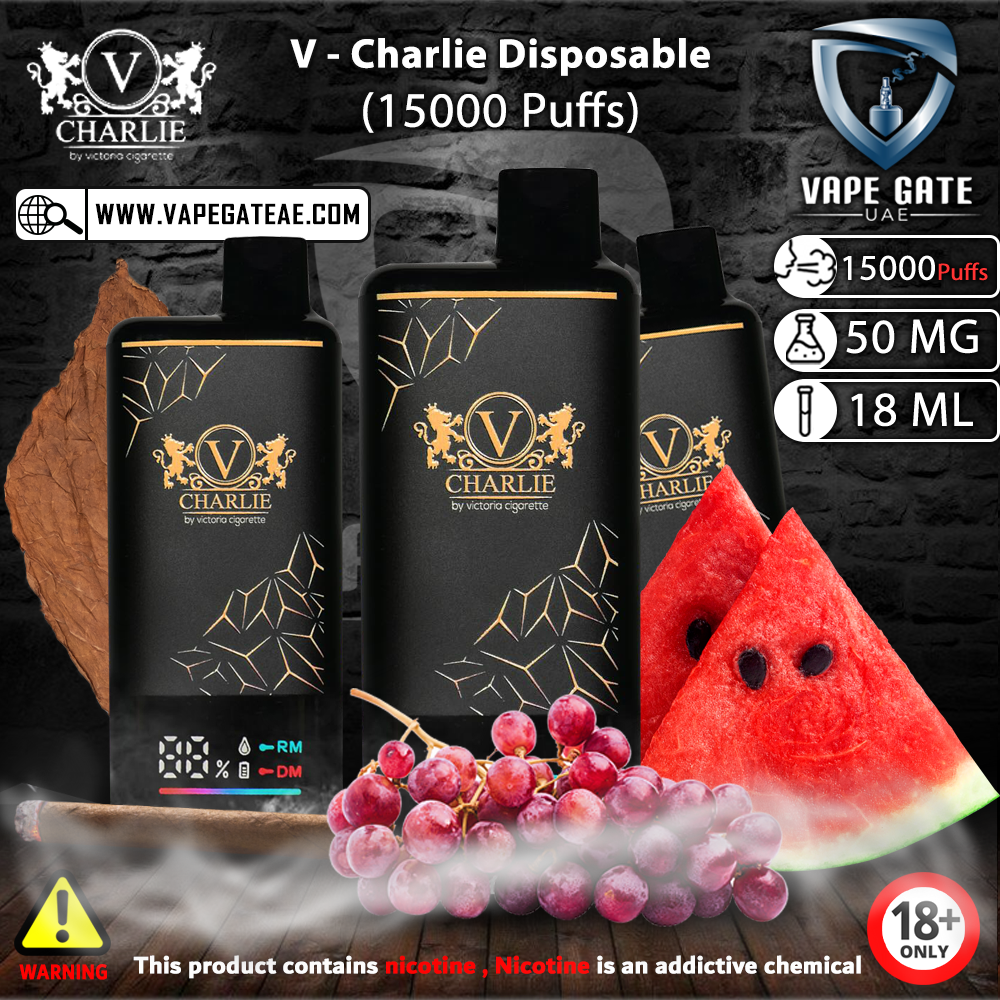 VICIG Charlie Disposable Pod Device (15000 Puffs) | Vape Abu Dhabi & Dubai